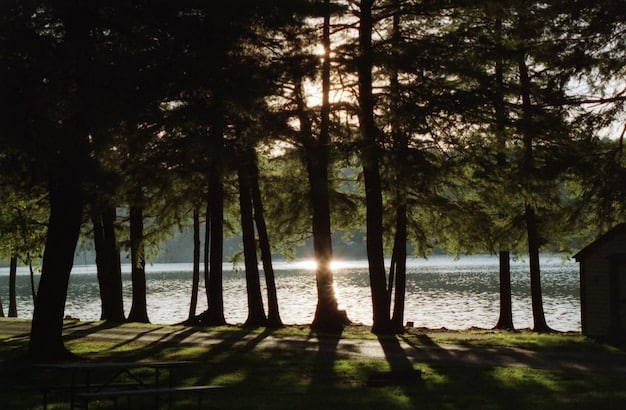 » Discover the Benefits of Nature Therapy for Stress Reduction